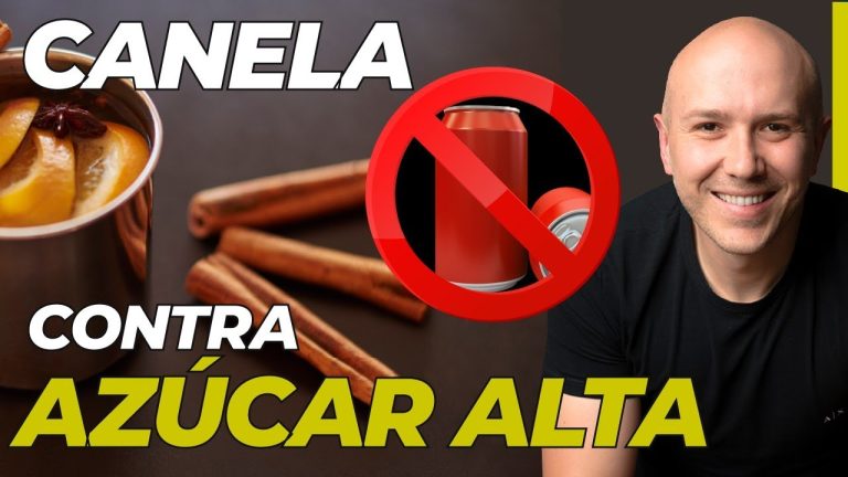 Descubre las Sorprendentes Propiedades de la Canela de Ceylán para tu ...